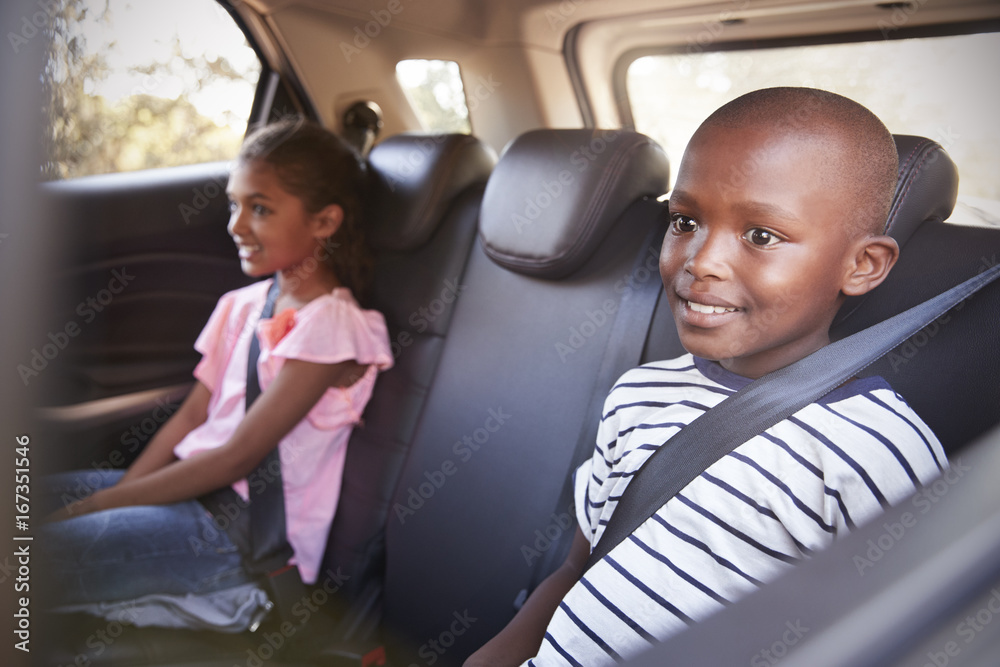 Smiling girl and boy in the back of car on family road trip Stock Photo ...