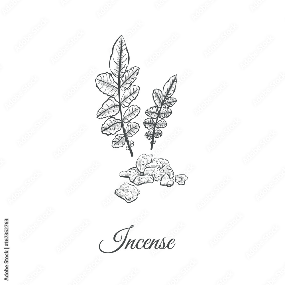 Vecteur Stock Incense Sketch hand drawing. Vector illustration of ...