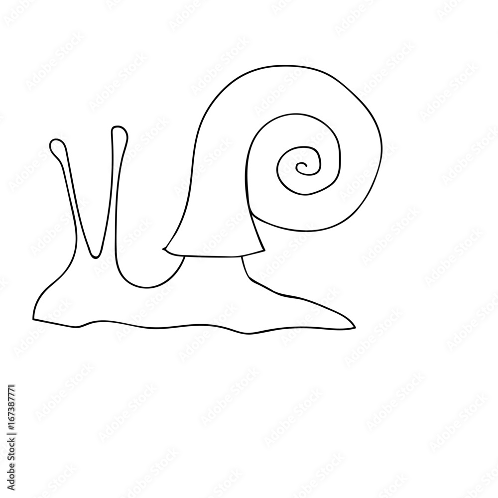 Hand drawn vector illustration snail spiral shell, coloring page ...