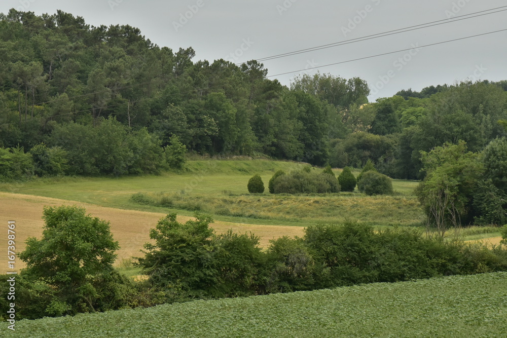 Champs ,prairies, et bois vers la fin de la journée à Champagne-et ...