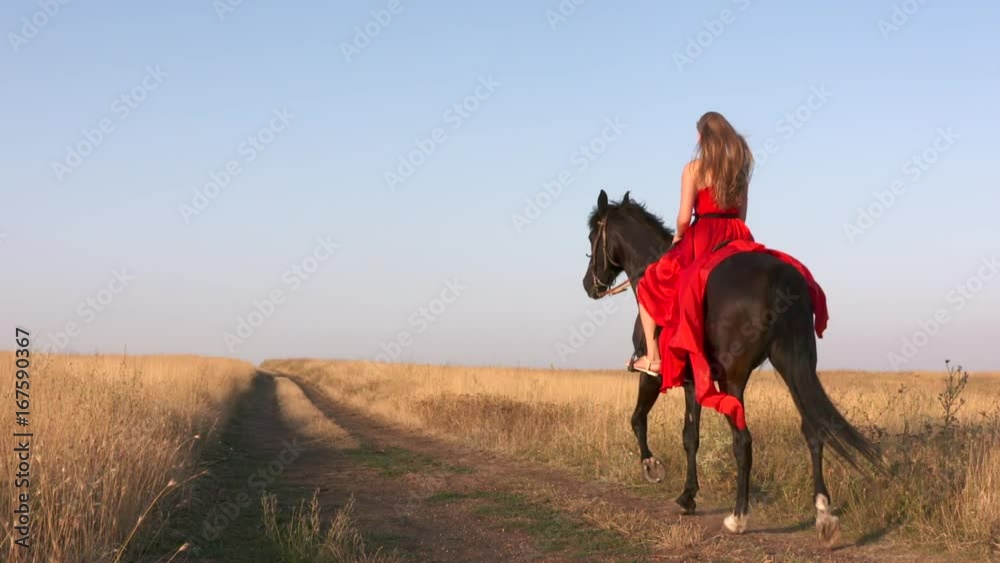 Young girl in long scarlet red dress riding black horse across dry ...