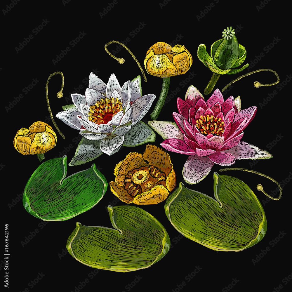 Water Lily Flower Template | Best Flower Site