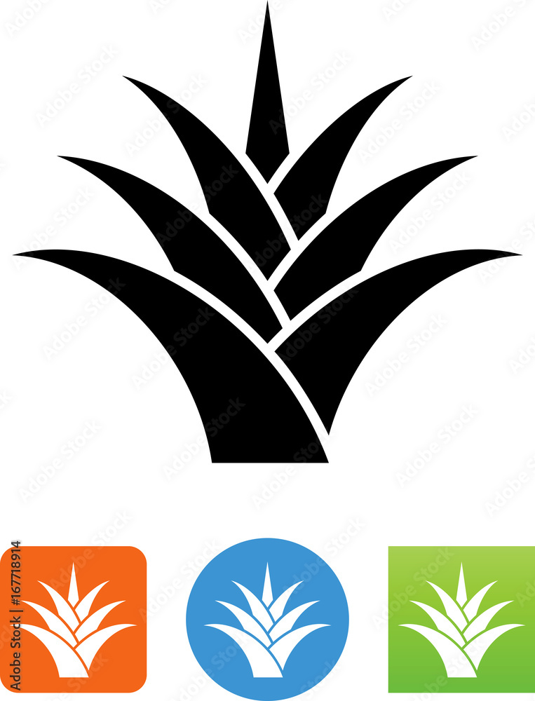 Yucca Icon - Illustration Stock Vector | Adobe Stock