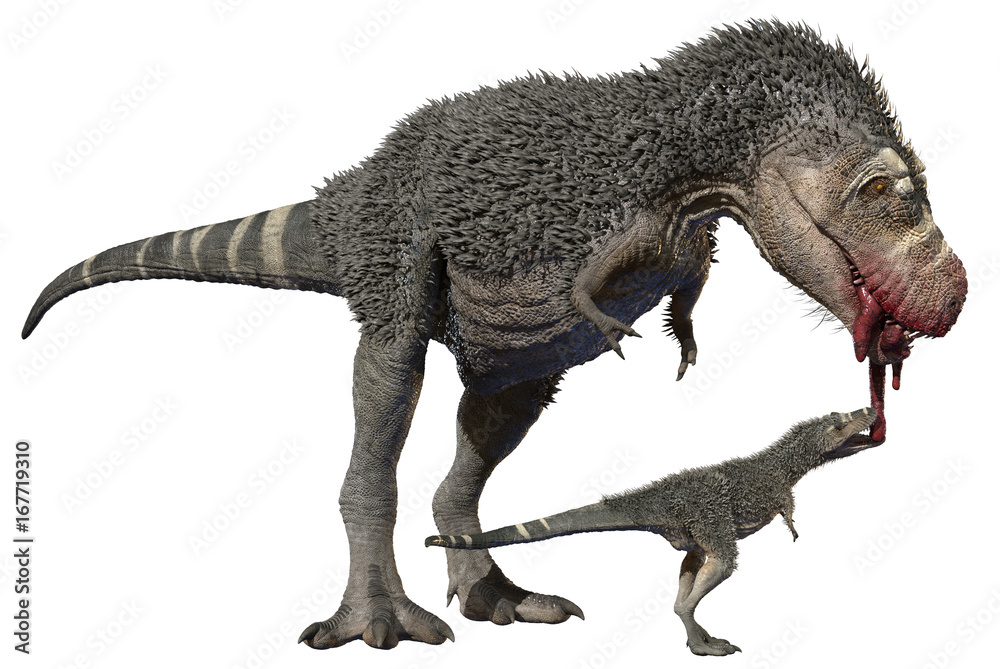 3D rendering of a feathered Tyrannosaurus Rex feeding a juvenile ...