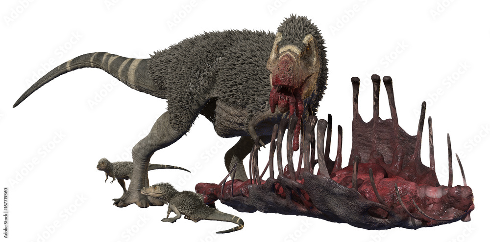 3D rendering of a feathered Tyrannosaurus Rex eating from a carcass ...