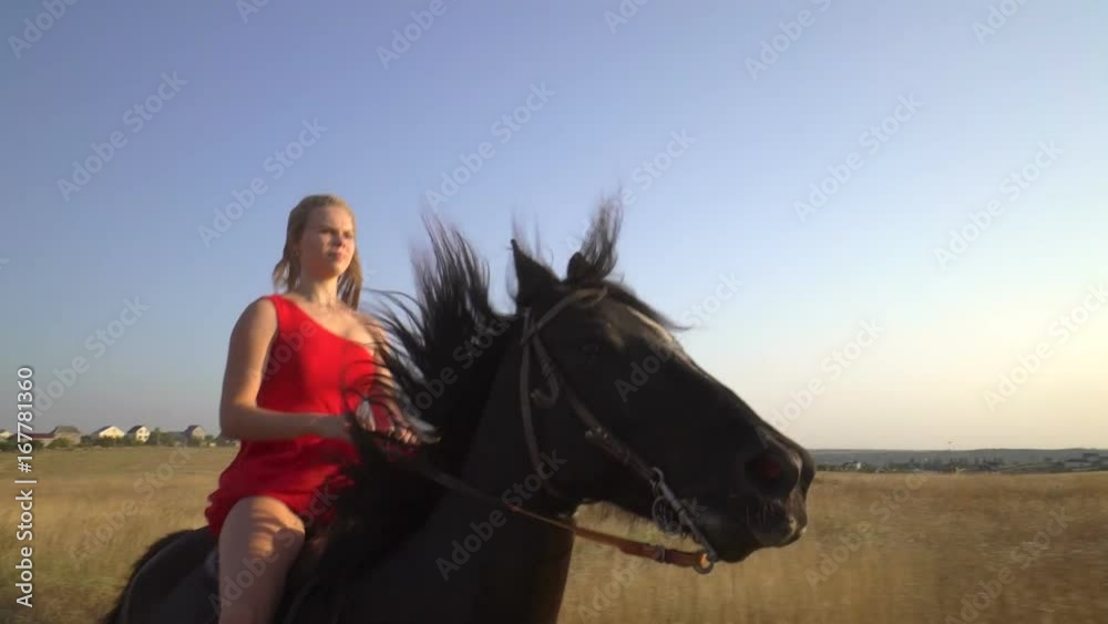Beautiful girl horseback rider in red dress riding horse across dry ...