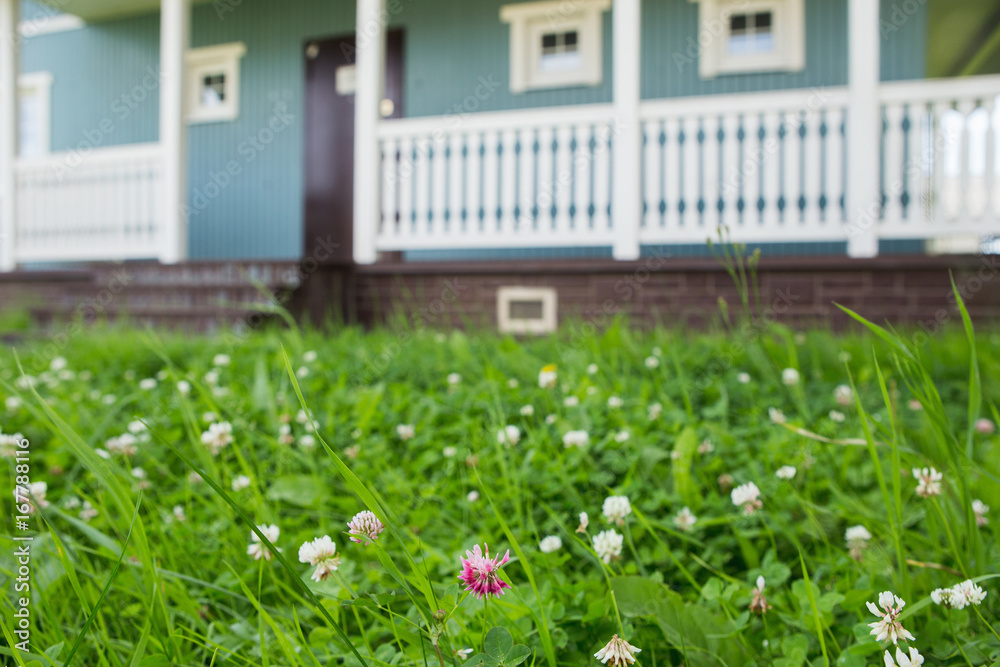 Clover blooms. In the distance a wooden house with a terrace. Stock ...