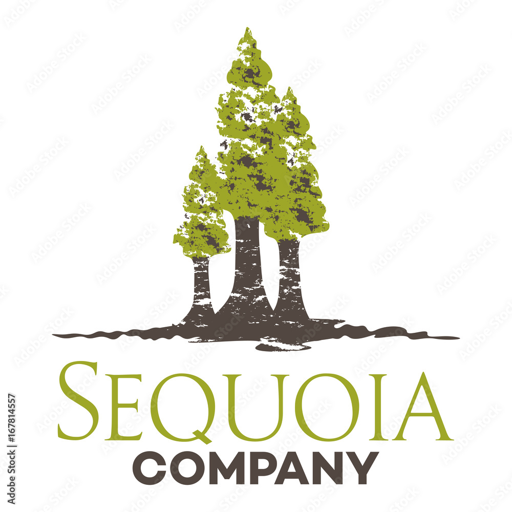 sequoia logo Stock Vector | Adobe Stock