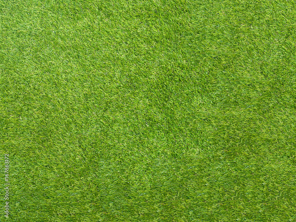 Texture green grass. Background of green turf grass. Texture coating of ...