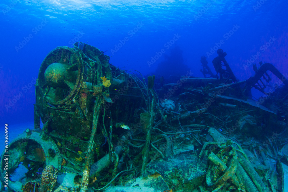 A shot of the sunken shipwreck of the captain keith tibbetts on little ...