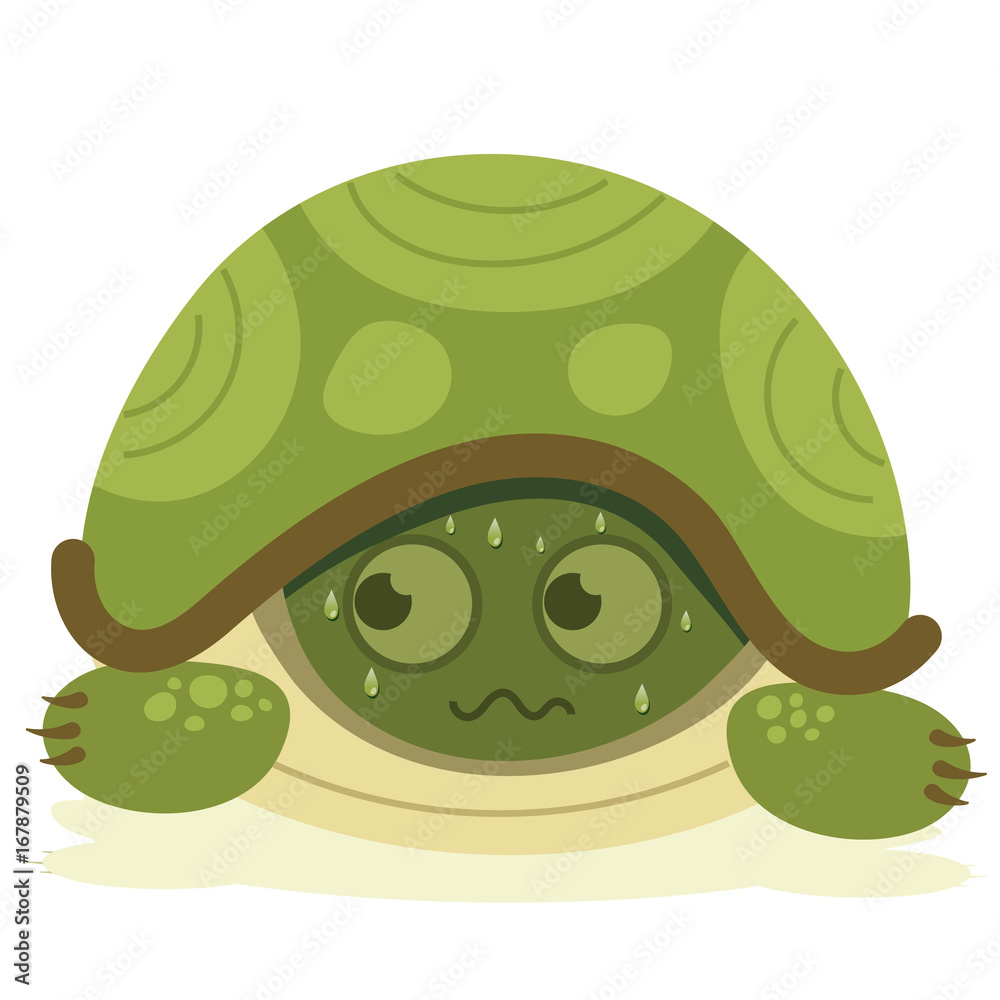 cartoon scared turtle Stock Vector | Adobe Stock