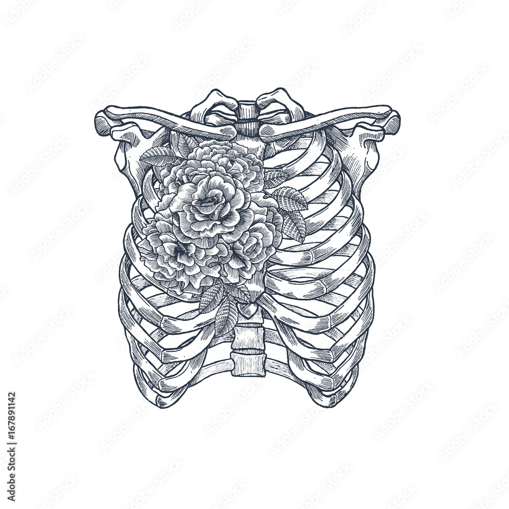 Tattoo anatomy vintage illustration. Rose chest skeleton. Vector ...