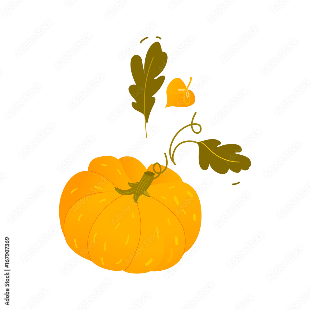 Flat cartoon style pumpkin, Halloween, thanksgiving symbol with fall ...