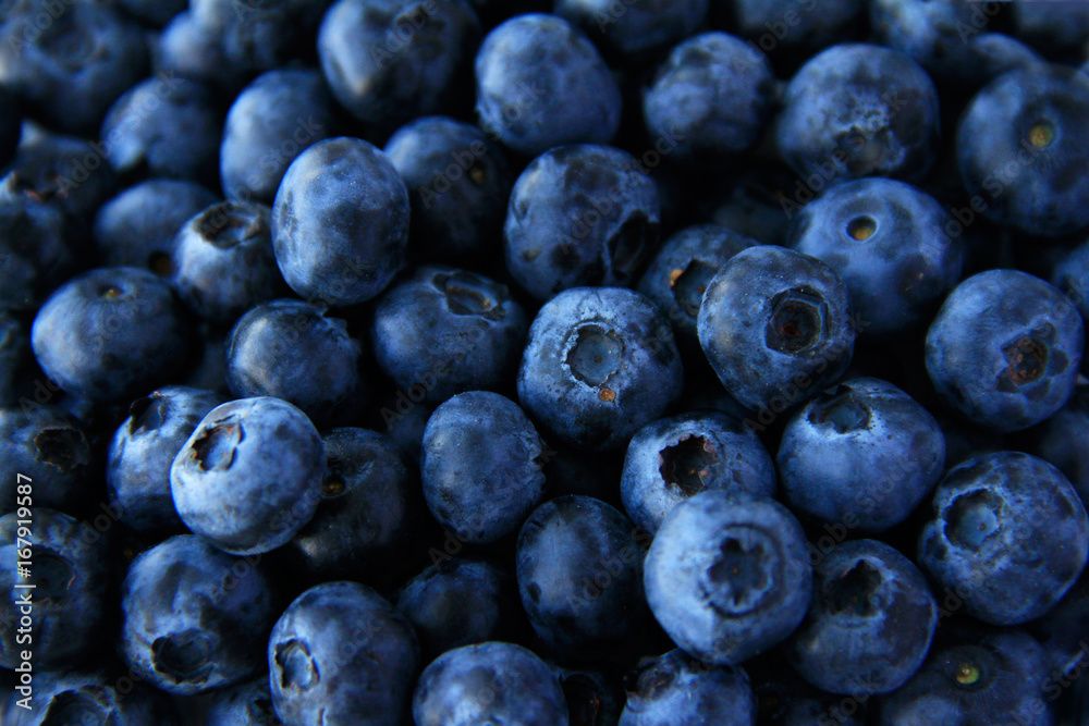 Blueberry full frame use for background Stock Photo | Adobe Stock