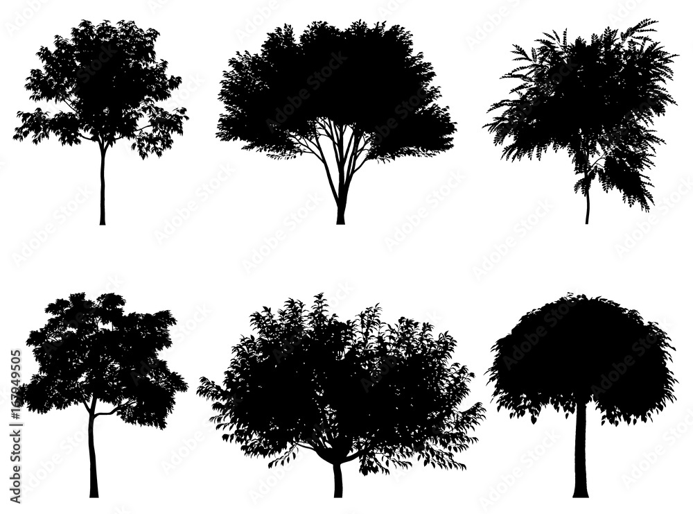 Vector illustration of tree silhouettes for architectural compositions ...