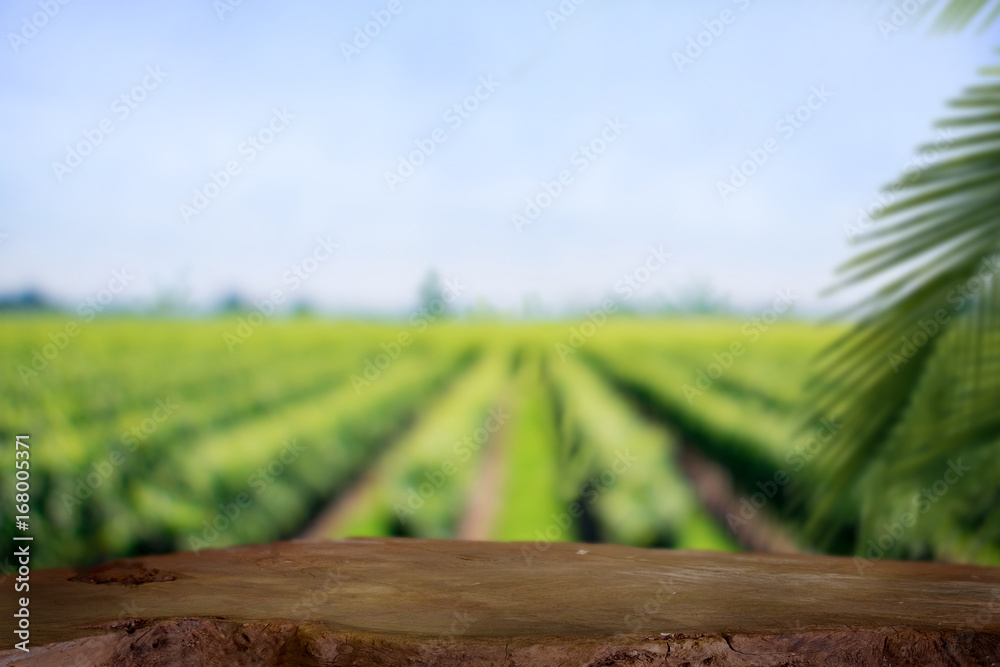 Empty rustic top wood table at gripening soybean field. For ...