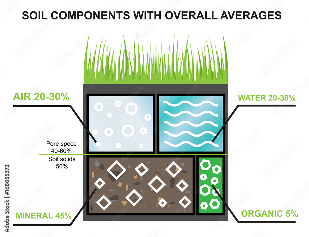 Composition of the soil. Components of the earth. Agroindustrial ...