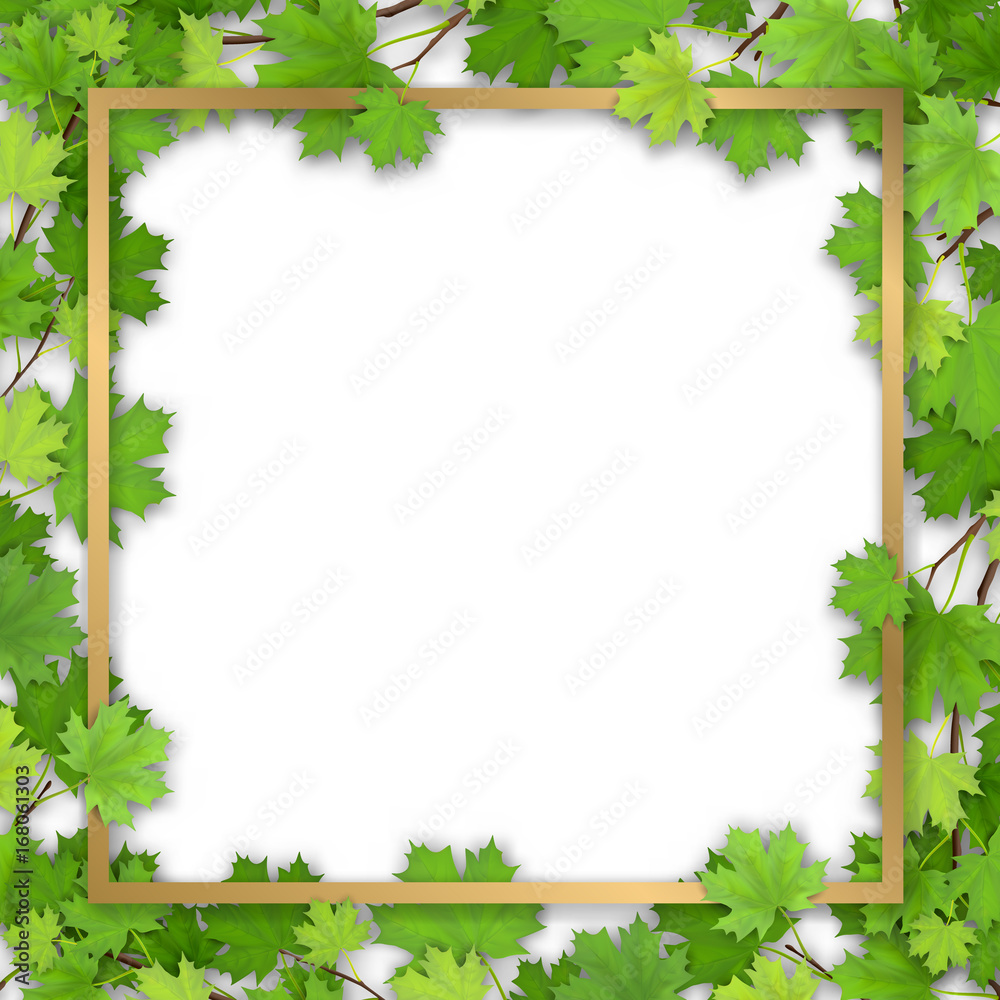 Green maple tree branch border. Golden frame in foliage. Vector ...