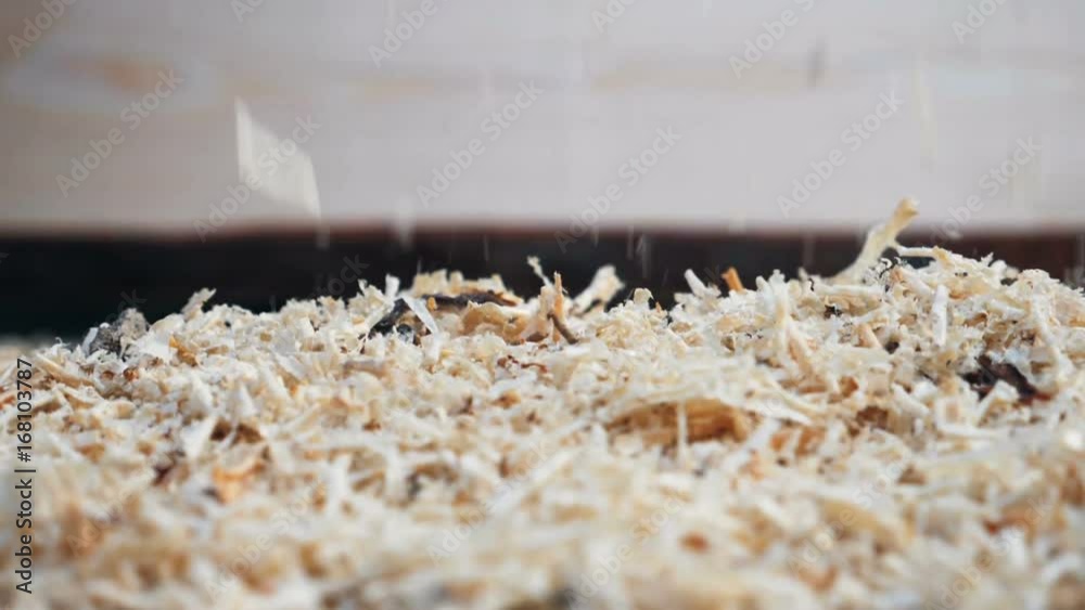 Sawdust fall down. Wood Planing Tight Slow Motion Stock Video | Adobe Stock