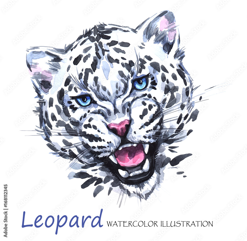 Leopard Roar Drawing
