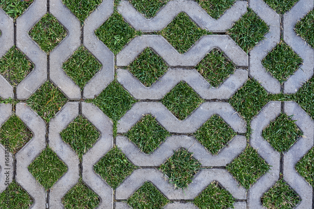 Paving slab with grass. bricks floor with grass. Stock Photo | Adobe Stock