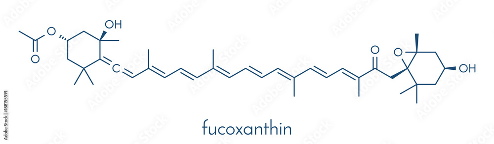 Fucoxanthin brown algae pigment molecule. Ingredient of some dietary ...