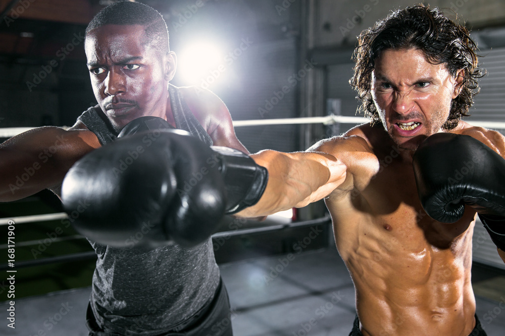 Two muscular strong male fighters workout together on boxing fighting ...