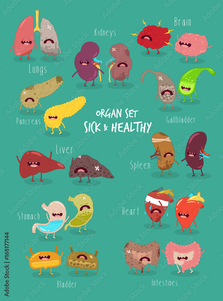 Healthy and sick internal organs. Funny illustration art Stock Vector ...