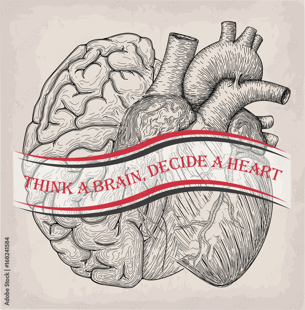 Heart with half brain of human together. Hand drawn print. Design ...