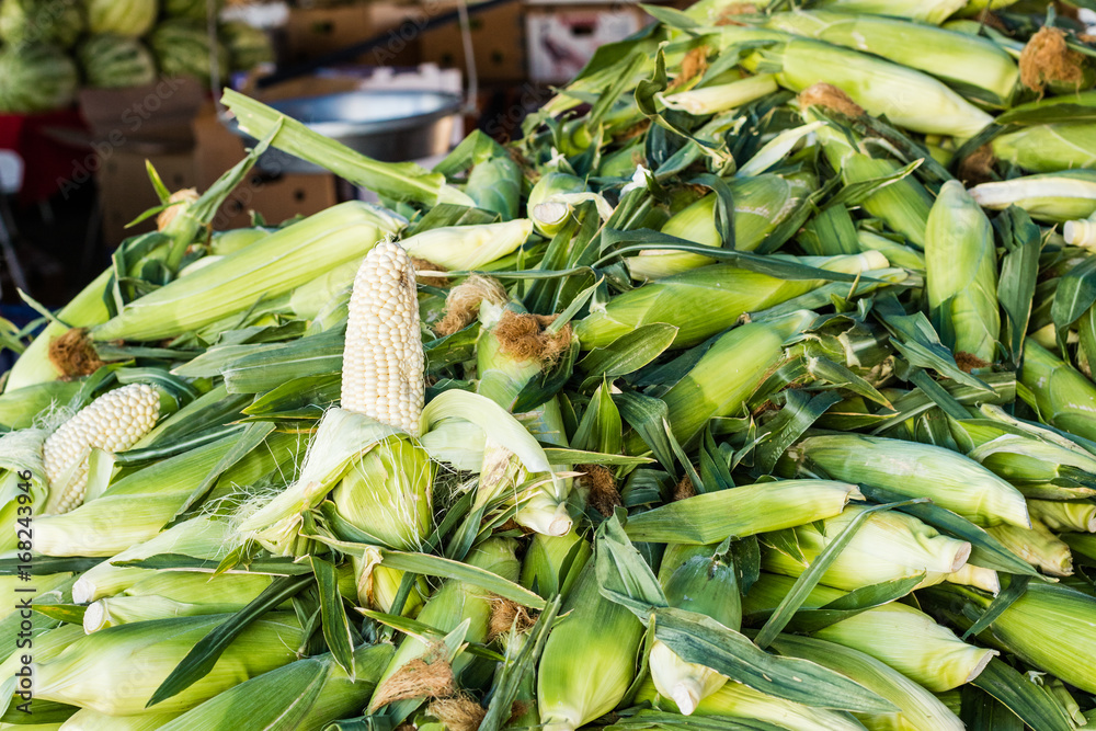 White Corn with husks piled up high on display at a Farmers Market ...