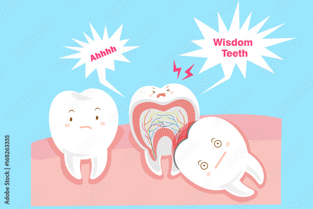cute cartoon wisdom teeth Stock Vector | Adobe Stock