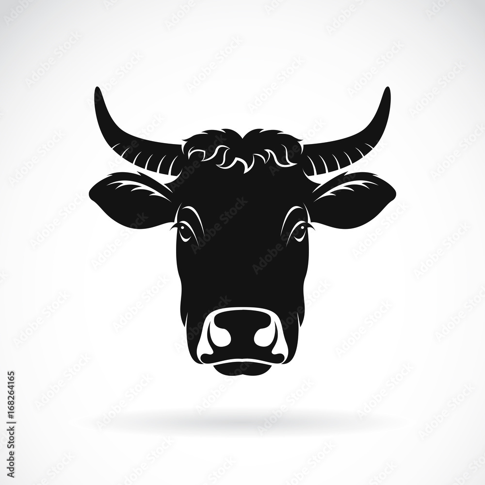 Vector of cow face on white background. Farm Animal. Stock Vector ...