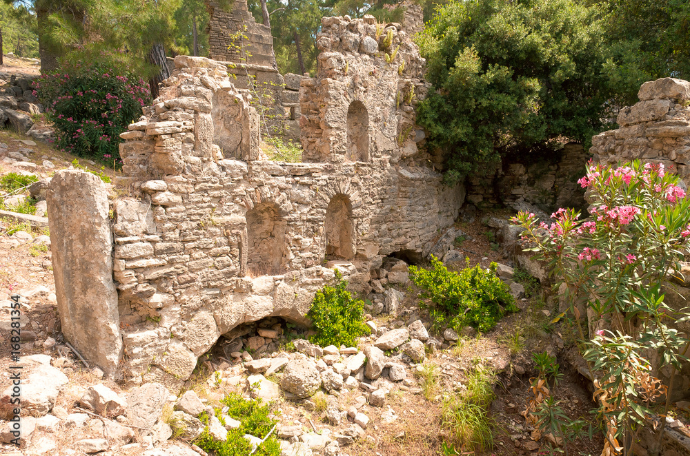 The ancient ruins of Seleucia, Pamphylia Stock Photo | Adobe Stock