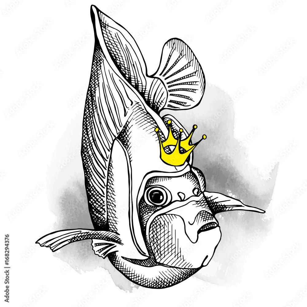 The image of the fish Emperor Angelfish with the crown. Vector ...