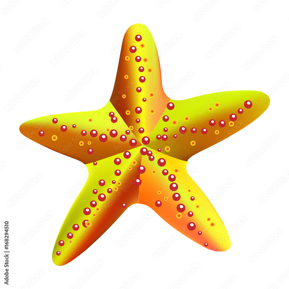Vector illustration of a sea star on a transparent background Stock Vector | Adobe Stock