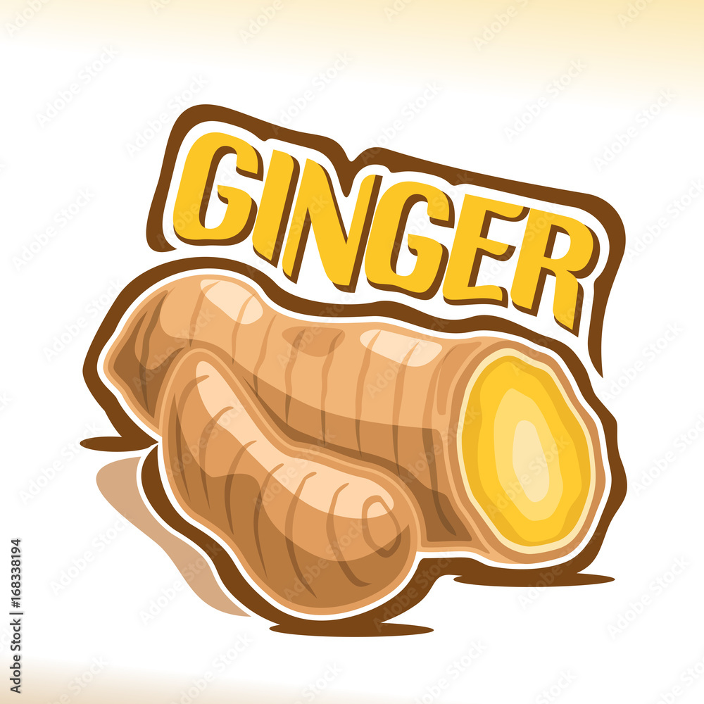 Vector logo for Ginger: cut root of fresh brown asian plant, poster for ...