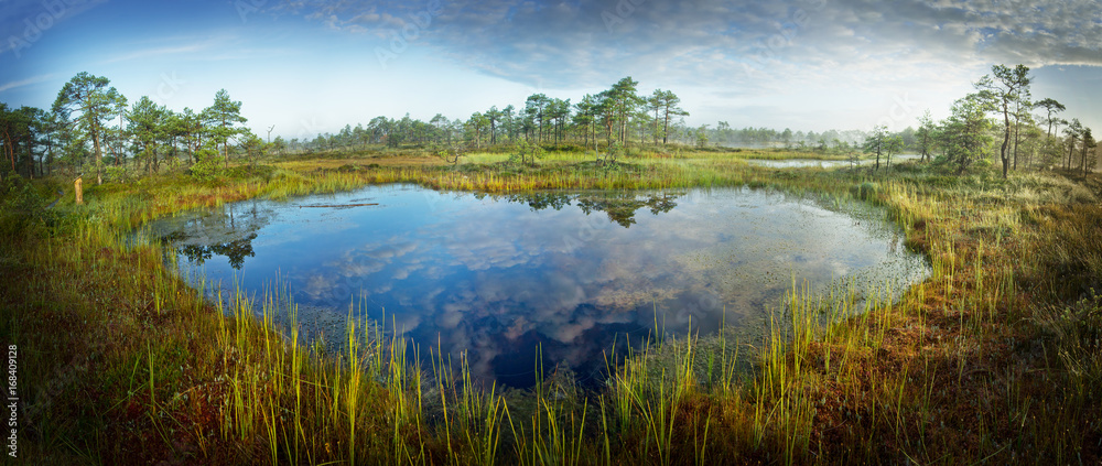 Sunrise in the bog. Icy cold marsh. Frosty ground. Swamp lake and ...
