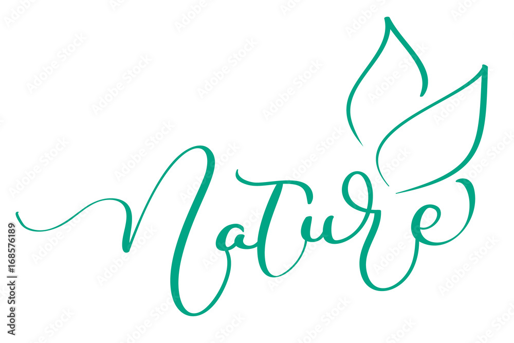 Nature word with leaves green color ink on white background. Hand drawn ...