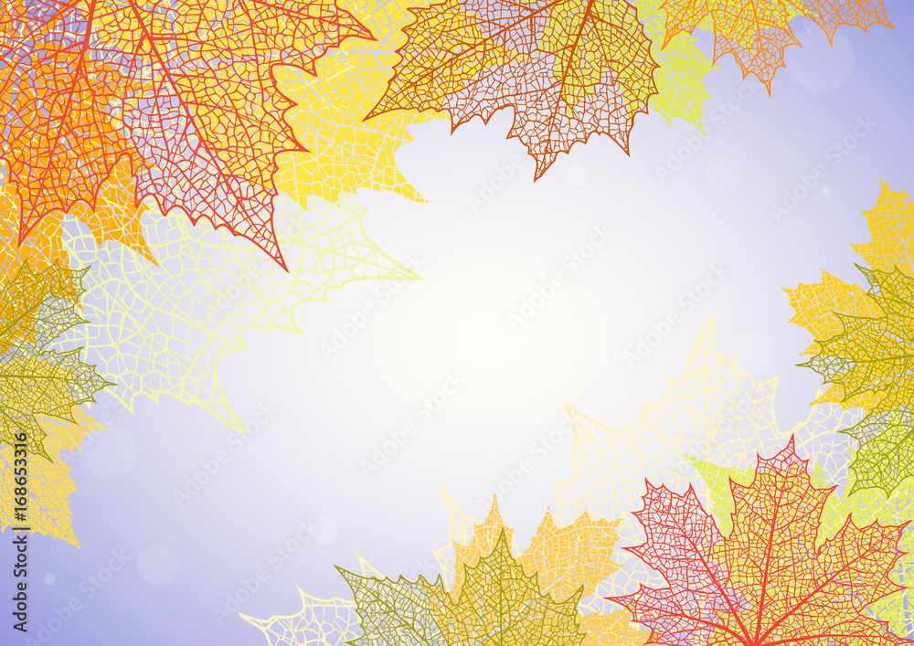 Autumn background and leaves of a maple Stock Vector | Adobe Stock