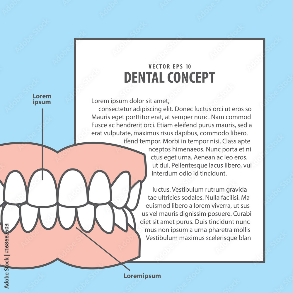Layout Denture with frame cartoon style for info or book illustration ...