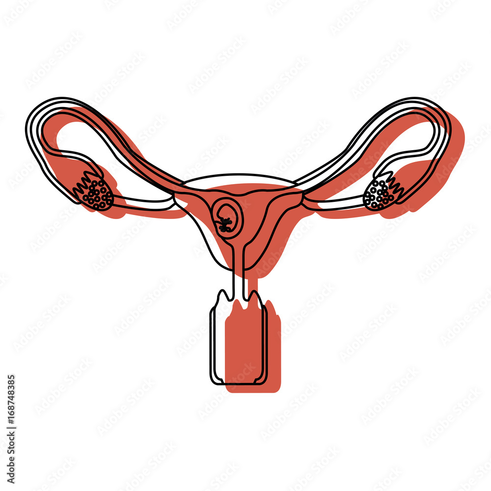 watercolor painted silhouette of female reproductive system ovaries ...