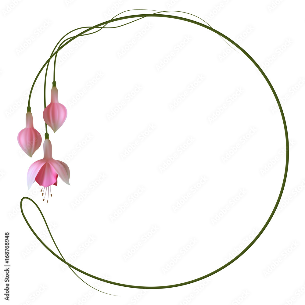 Realistic Fuchsia, circle frame. Symbol of creativity. Stock Vector ...