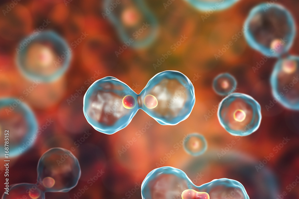 Dividing cells on colorful background, 3D illustration Stock ...