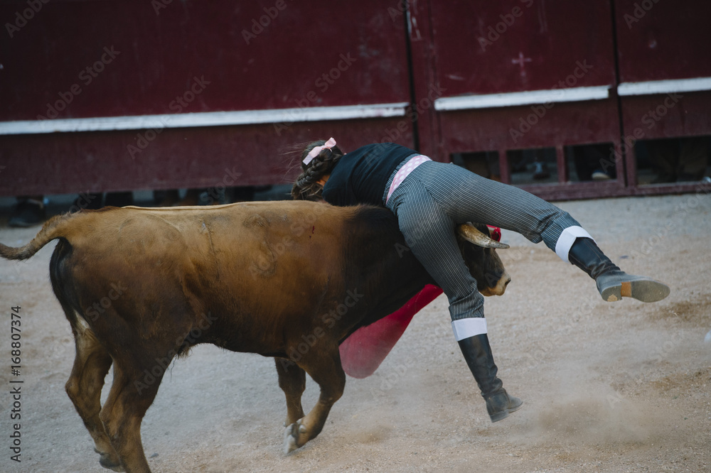 Accident. Matador woman Fighting in a typical Spanish Bullfight Stock ...