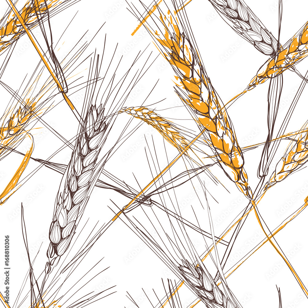 Vector seamless pattern with hand drawn ear of wheat. Hand drawn ...