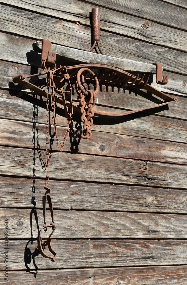 Vintage rusty tack and traps Stock Photo | Adobe Stock