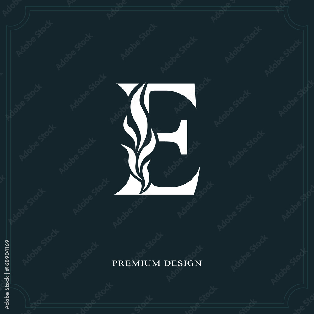 Elegant letter E. Graceful royal style. Calligraphic beautiful logo ...