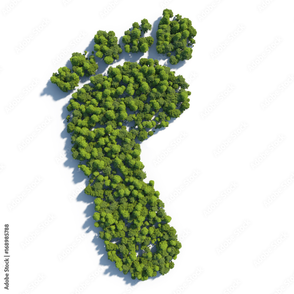 3d rendering ultra high quality. Foot icon from small trees with drop ...