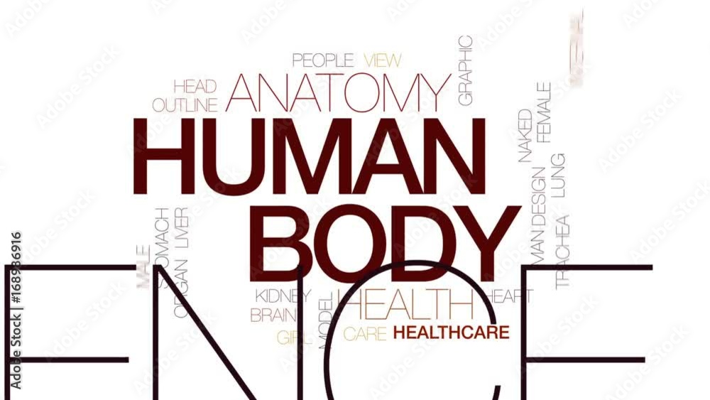 Human body animated word cloud, text design animation. Kinetic typography. Stock 비디오 | Adobe Stock
