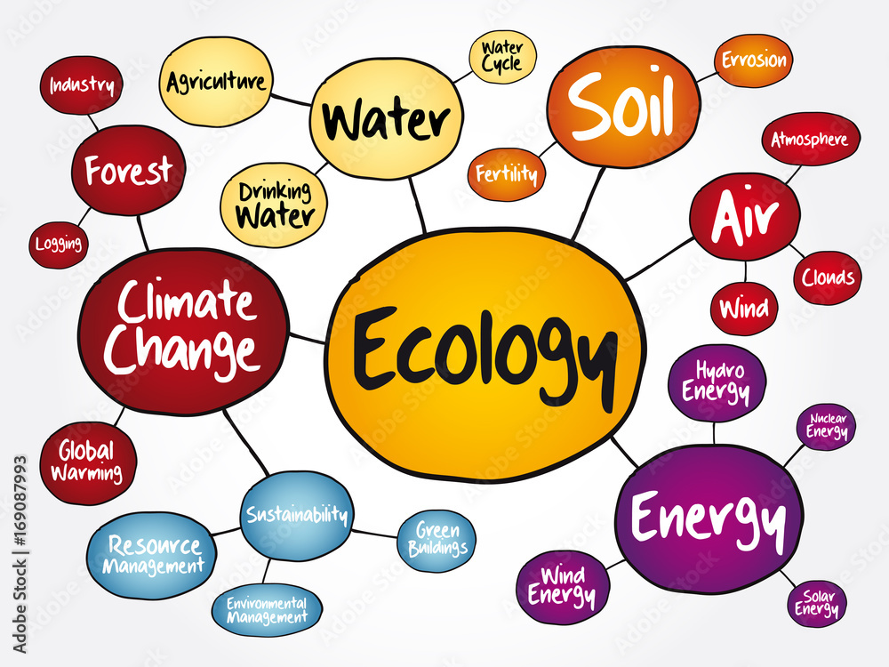 Ecology mind map flowchart concept for presentations and reports Stock ...
